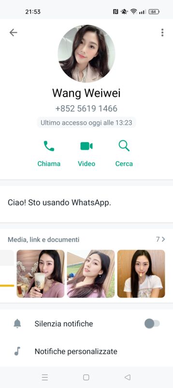 5619 1466 | Wang Weiwei | 1 rapporto